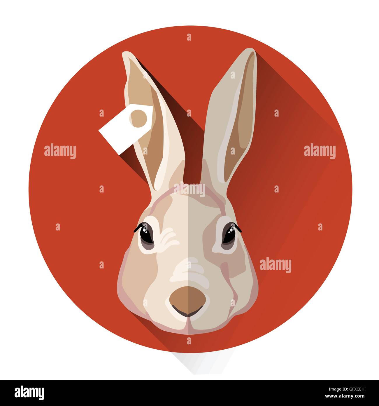 Rabbit meat color icon Stock Vector Images - Alamy