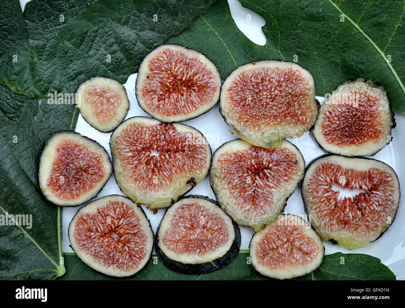Group Of Figs High Resolution Stock Photography and Images - Alamy