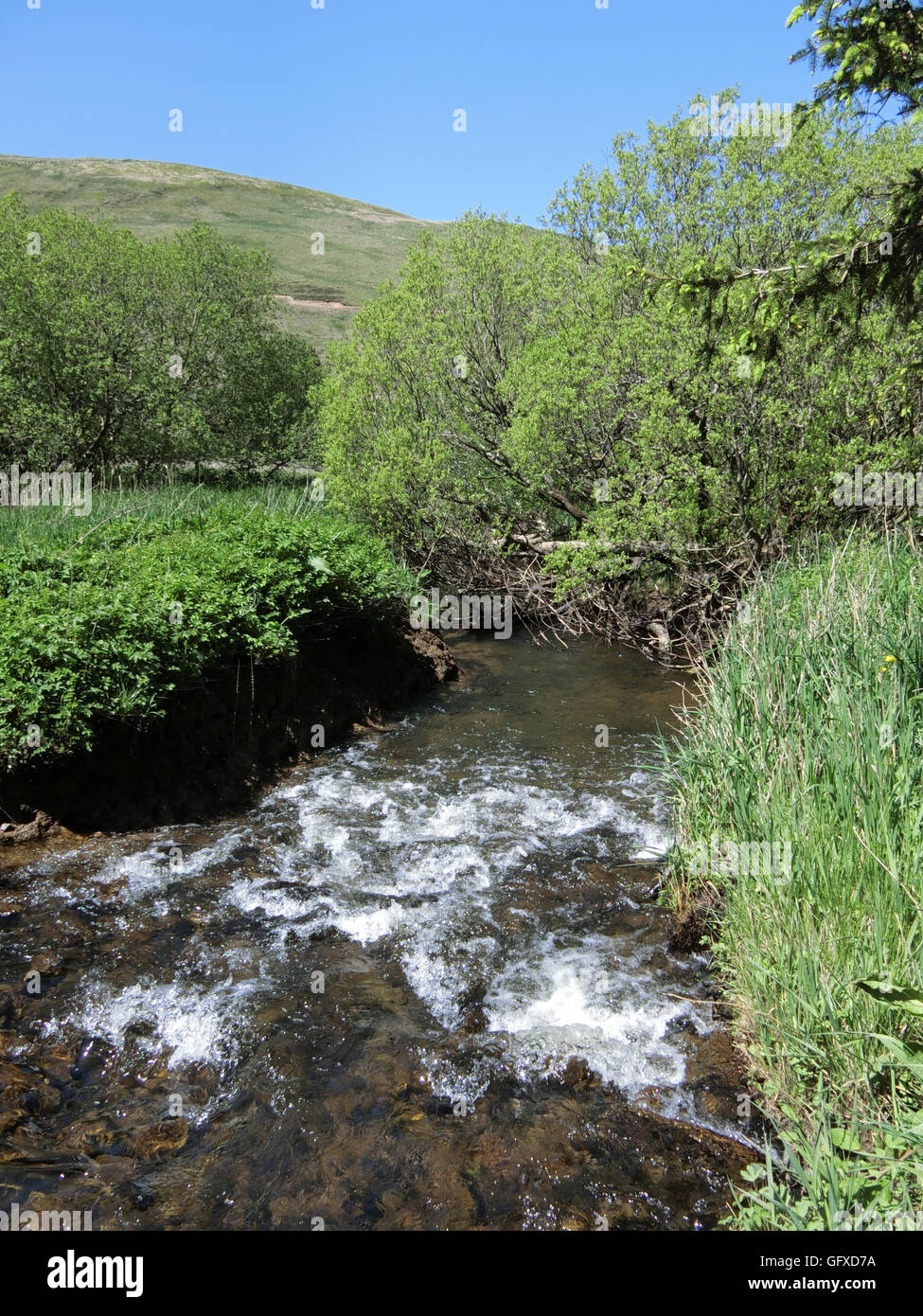 Scotland scenic river ettrick hi-res stock photography and images - Alamy
