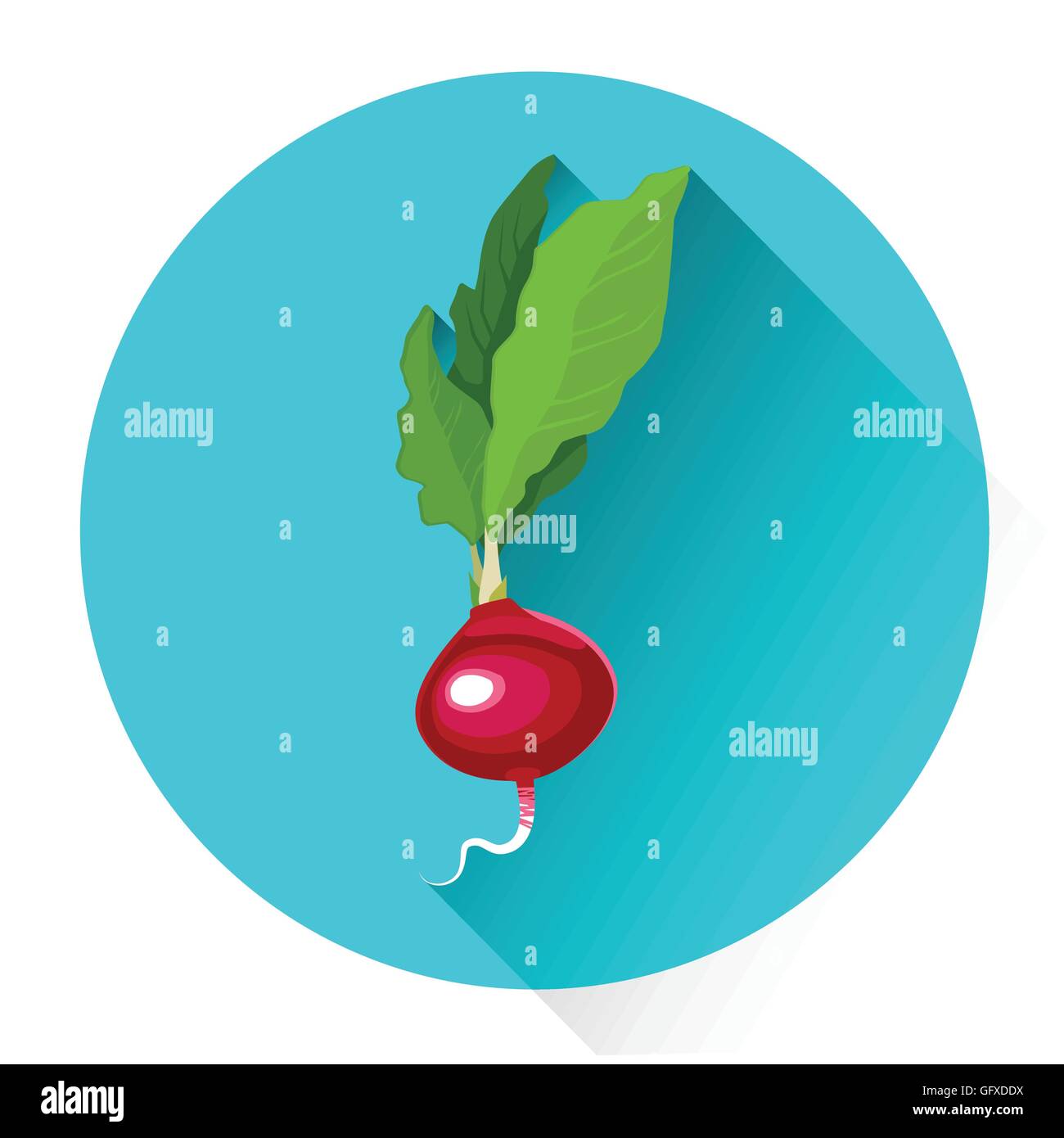 Radish Colorful Vegetable Icon Stock Vector Image & Art - Alamy