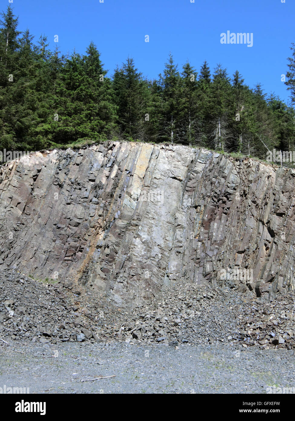 Stone Quarry in a Woodland Setting, Ettrick Valley, Borders, Scotland ...