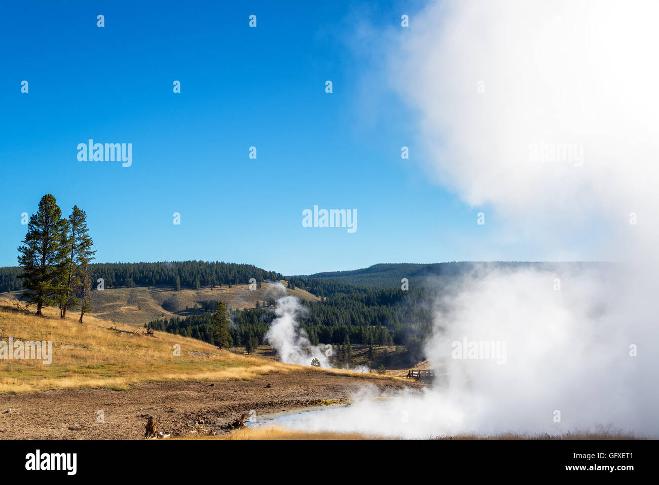 View of the Black Dragons Cauldron in Yellowstone National Park at the ...