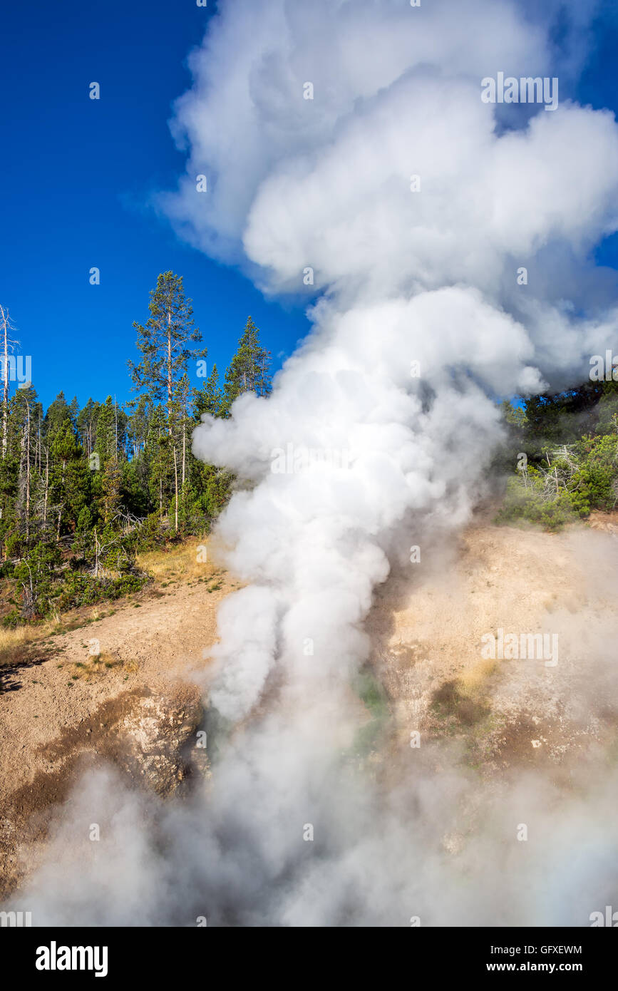 The dragons mouth geyser hi-res stock photography and images - Alamy