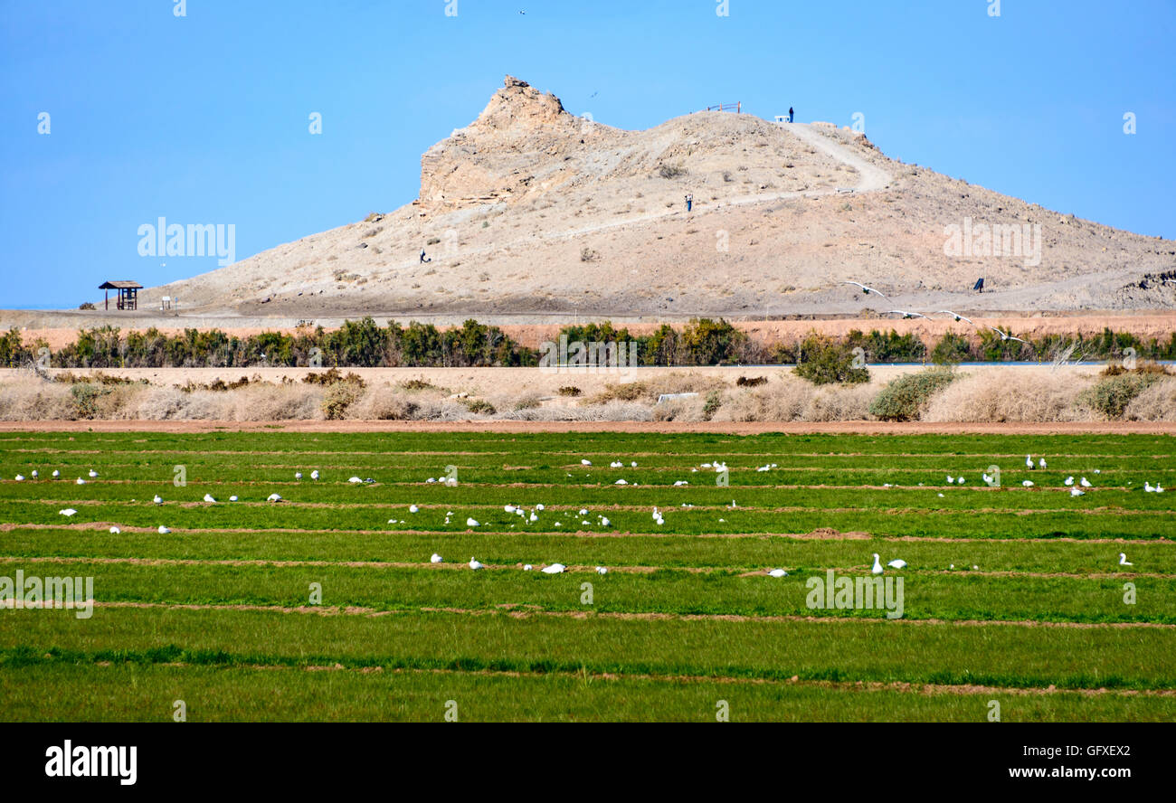 Salton sea scenic hi-res stock photography and images - Alamy