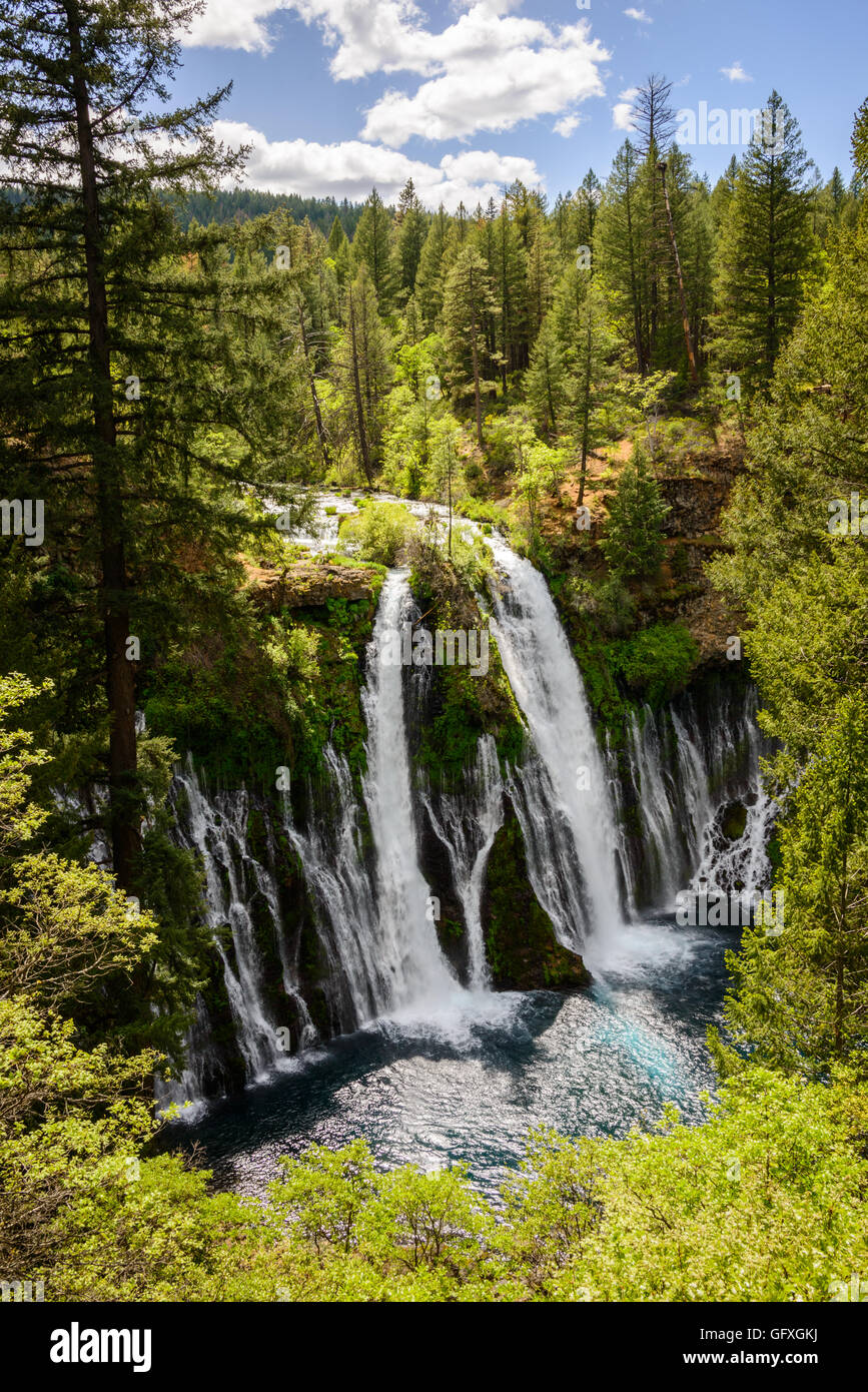 Burney Falls Stock Photos & Burney Falls Stock Images - Alamy