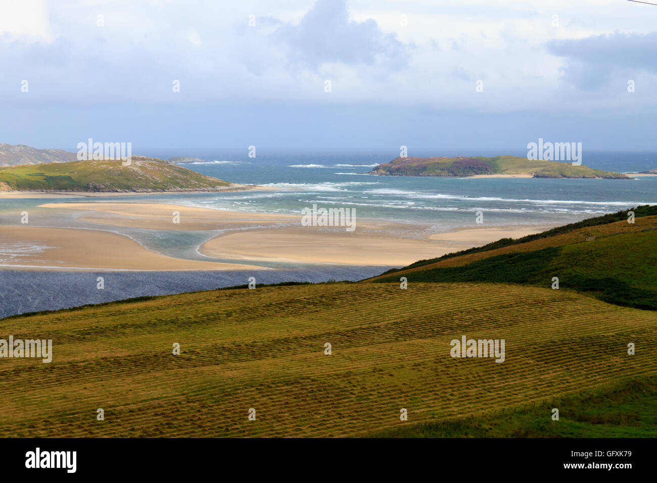 Rural scottish panorama. Erica arborea meadows. Travel destinations ...