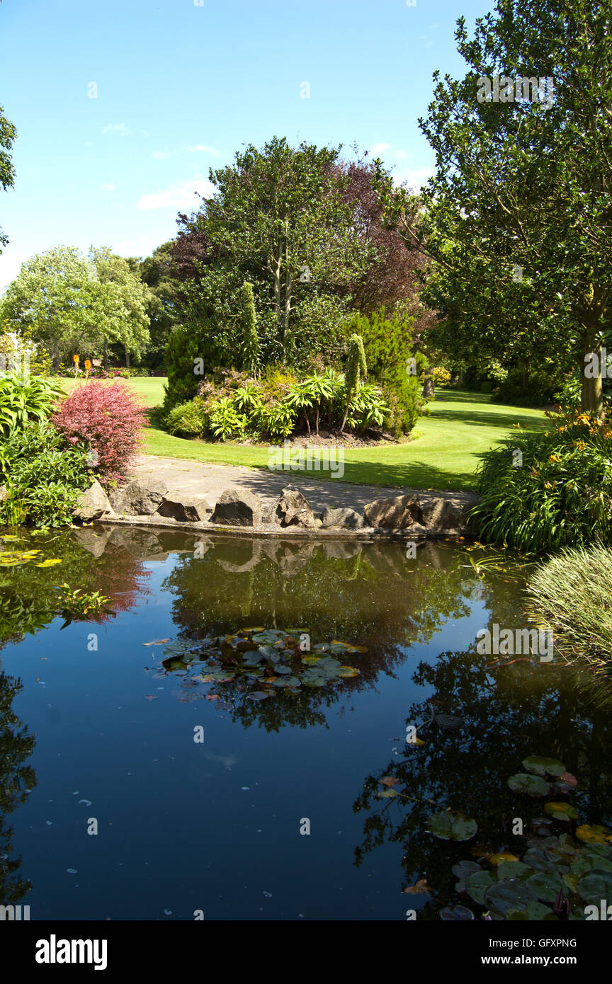 Pond, Howard Davis Park, Jersey, Channel Islands Stock Photo - Alamy