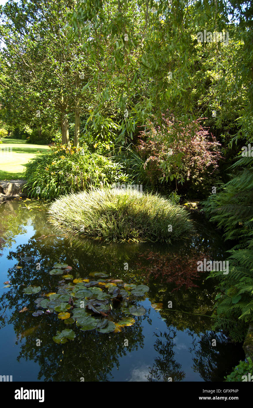 Pond, Howard Davis Park, Jersey, Channel Islands Stock Photo - Alamy