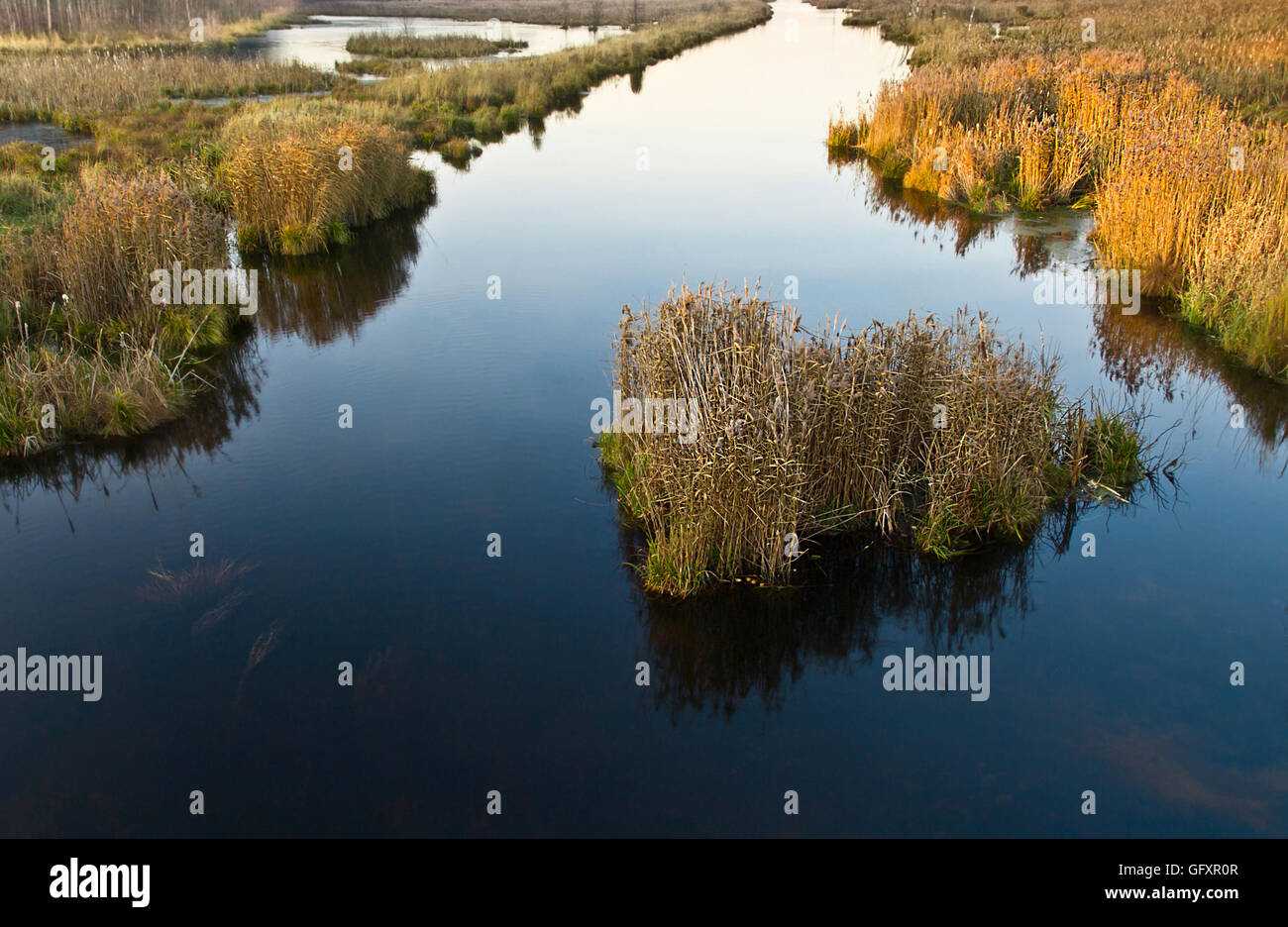 Quagmire landscape hi-res stock photography and images - Alamy