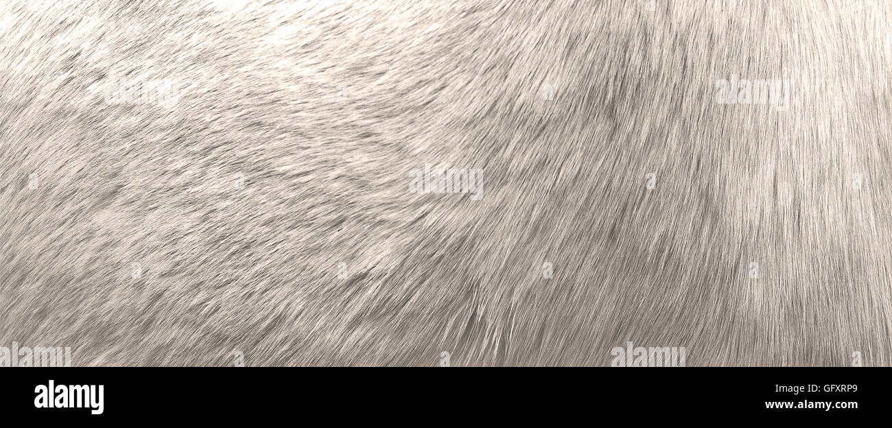 Downy fur hi-res stock photography and images - Alamy