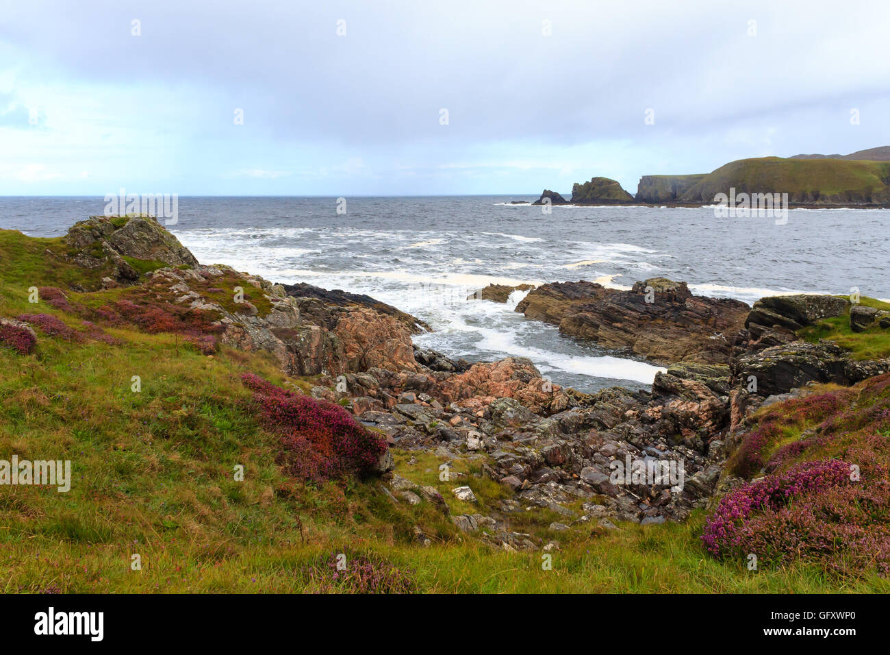 Rural scottish panorama. Erica arborea meadows. Travel destinations ...