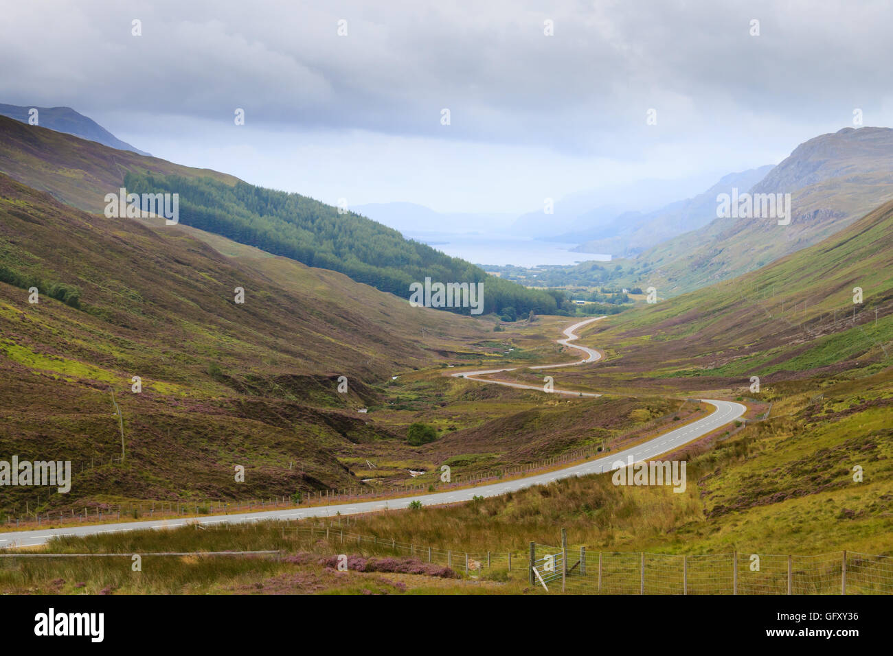 Scottish road trough countryside. Perspective road. Scotland panorama ...