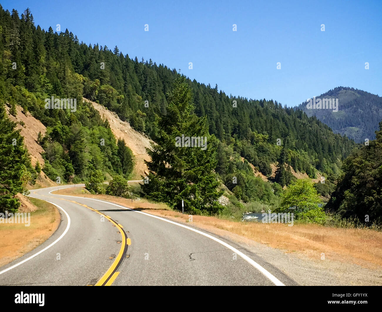Ancient cedar forest hi-res stock photography and images - Alamy