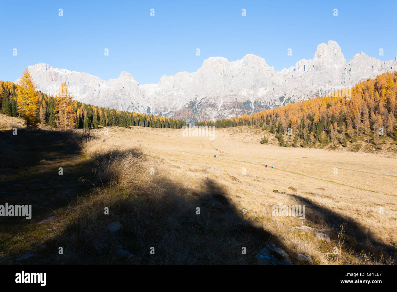 Autumn landscape from italian Alps. Yellow trees. Beautiful dolomites ...