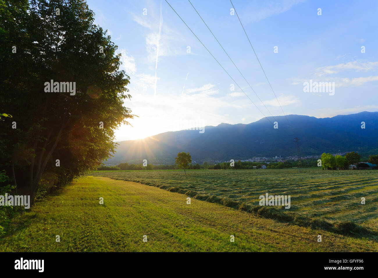 Grass field from italian countryside. Agriculture and Rural life ...