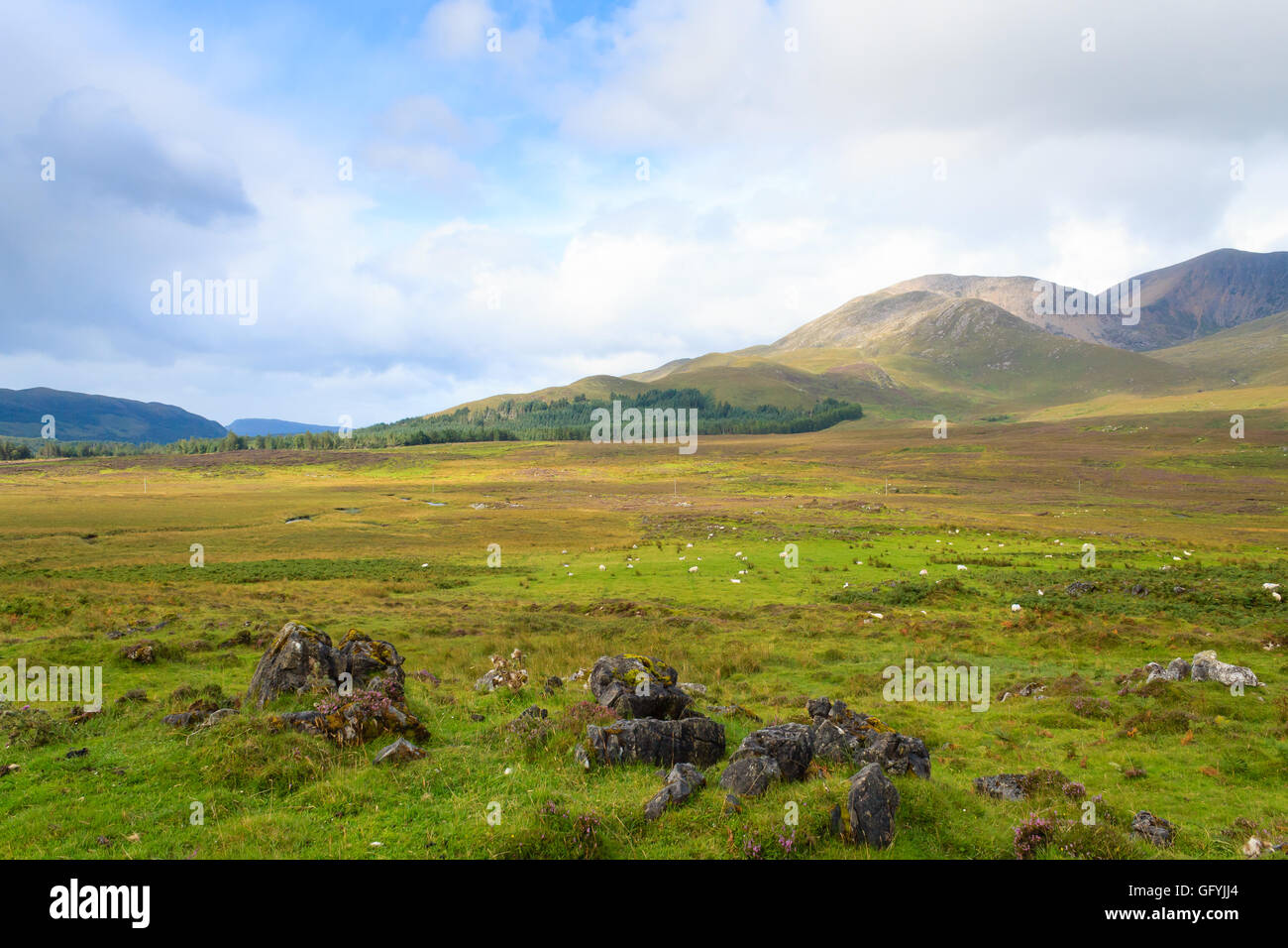 Beautiful scottish panorama from Highland region. Scotland travel ...