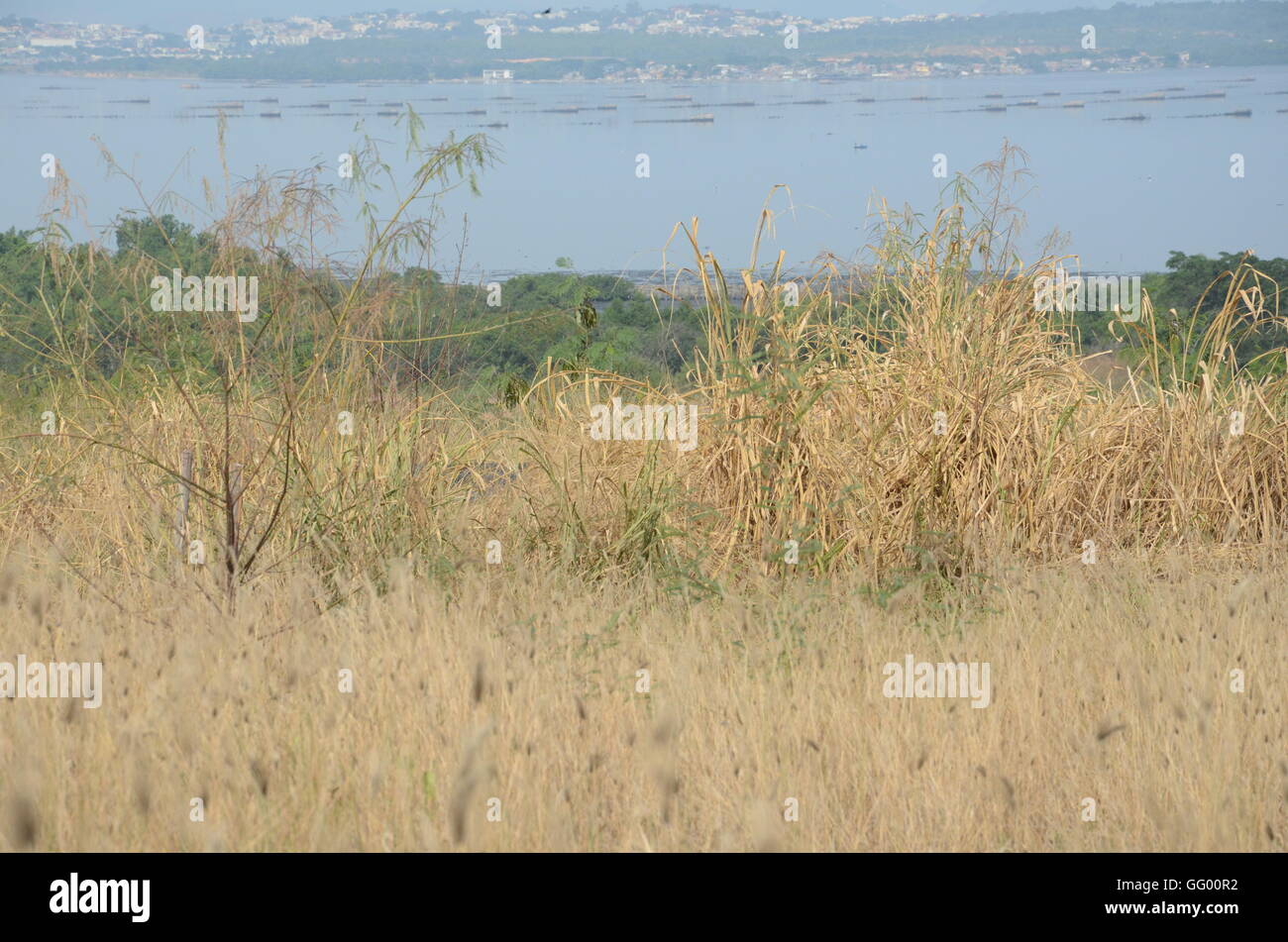Rio de Janeiro, Brazil. 9th July, 2016. View from an illegal waste dump ...