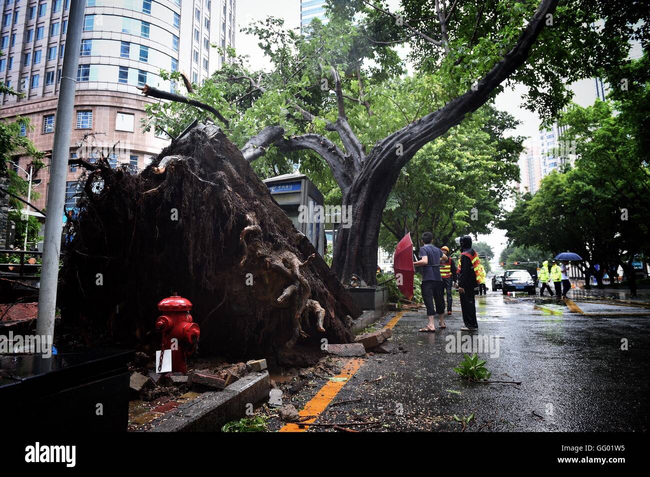 Shenzhen, China. 2nd August, 2016. Landscaping workers clear off ...