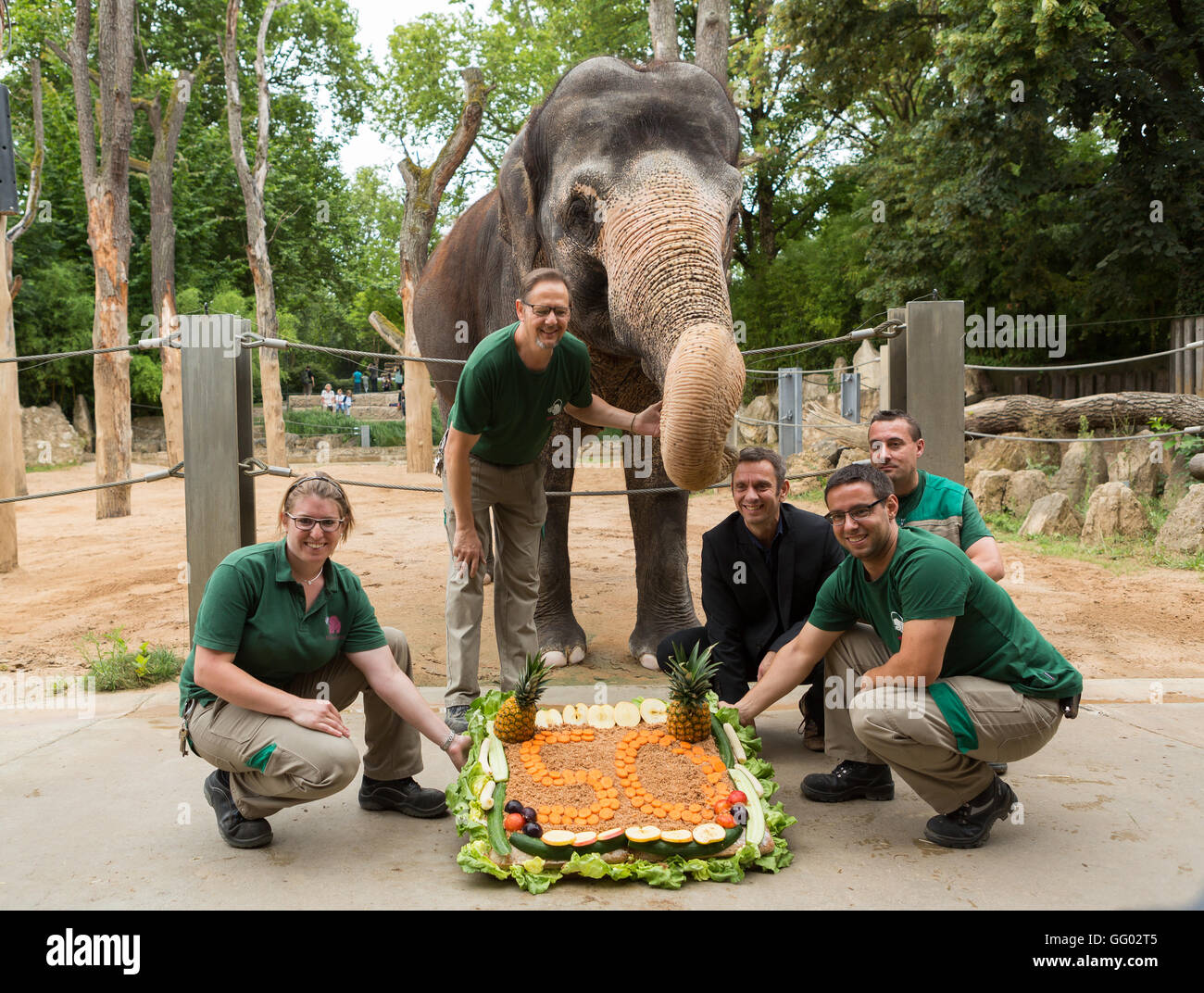 Pama the elephant celebrates her 50th birthday with a birthday cake at ...