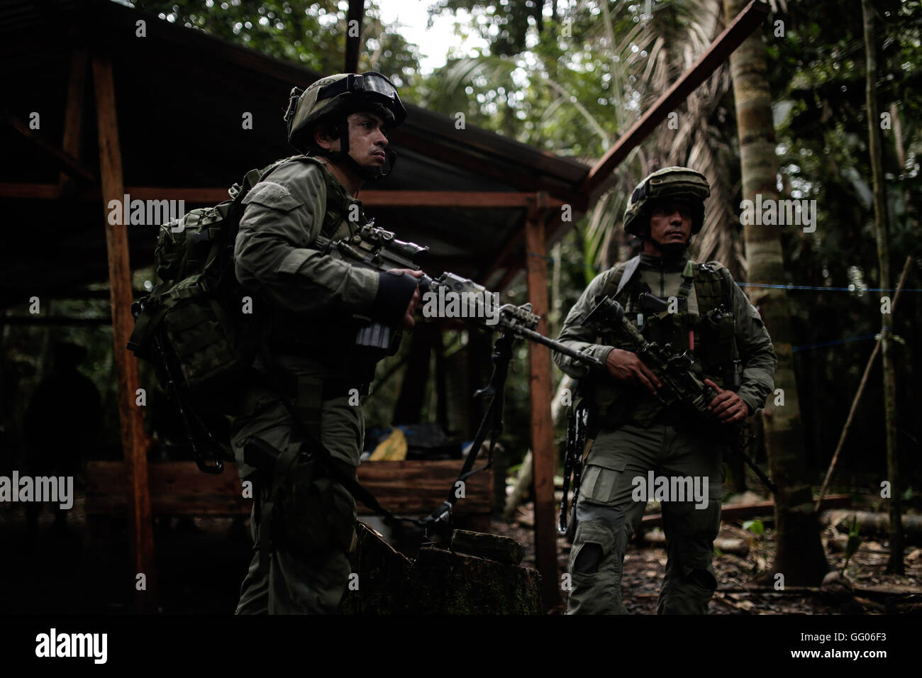 Guaviare, Colombia. 2nd August, 2016. Member of the jungle group of the ...