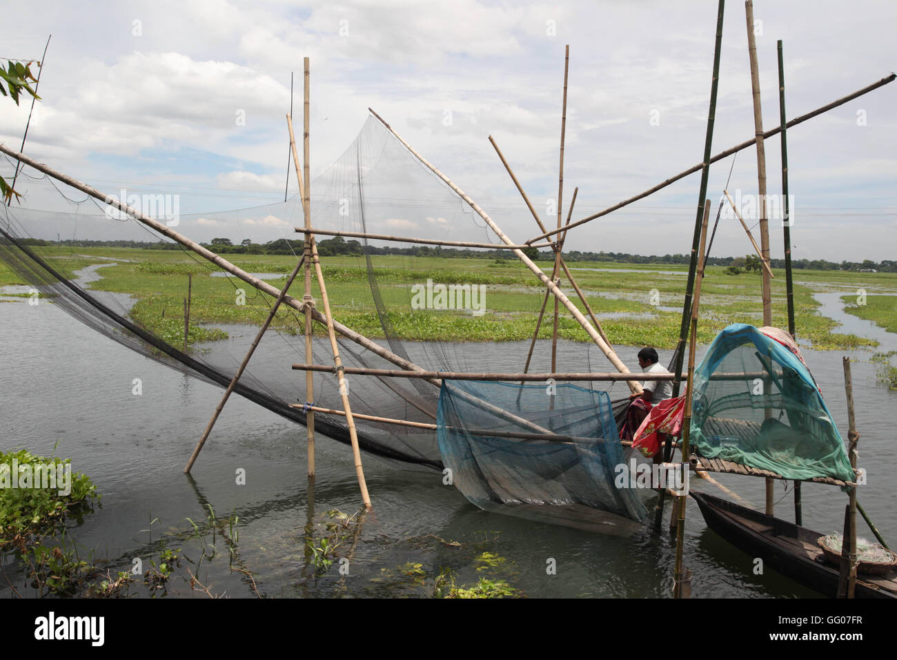 Dhaka, Nababgonj, Bangladesh. 3rd Aug, 2016. A fisherman catch fish ...