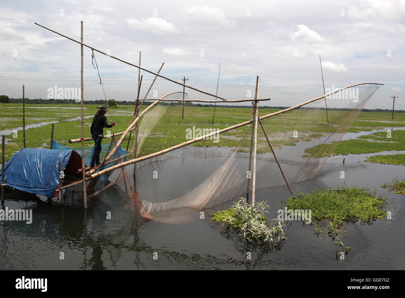 Dhaka, Nababgonj, Bangladesh. 3rd Aug, 2016. A fisherman catch fish ...