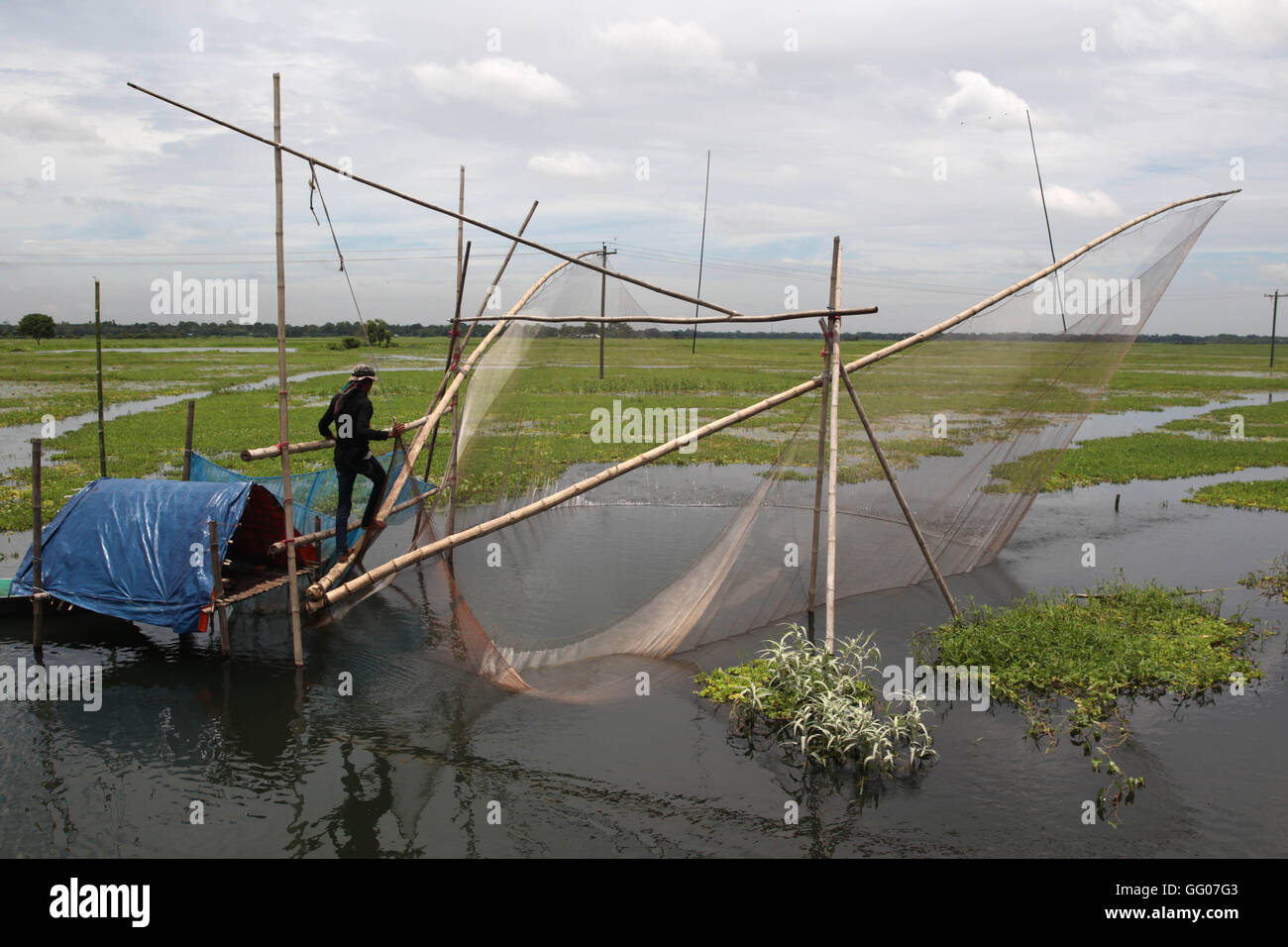 Dhaka, Nababgonj, Bangladesh. 3rd Aug, 2016. A fisherman catch fish ...