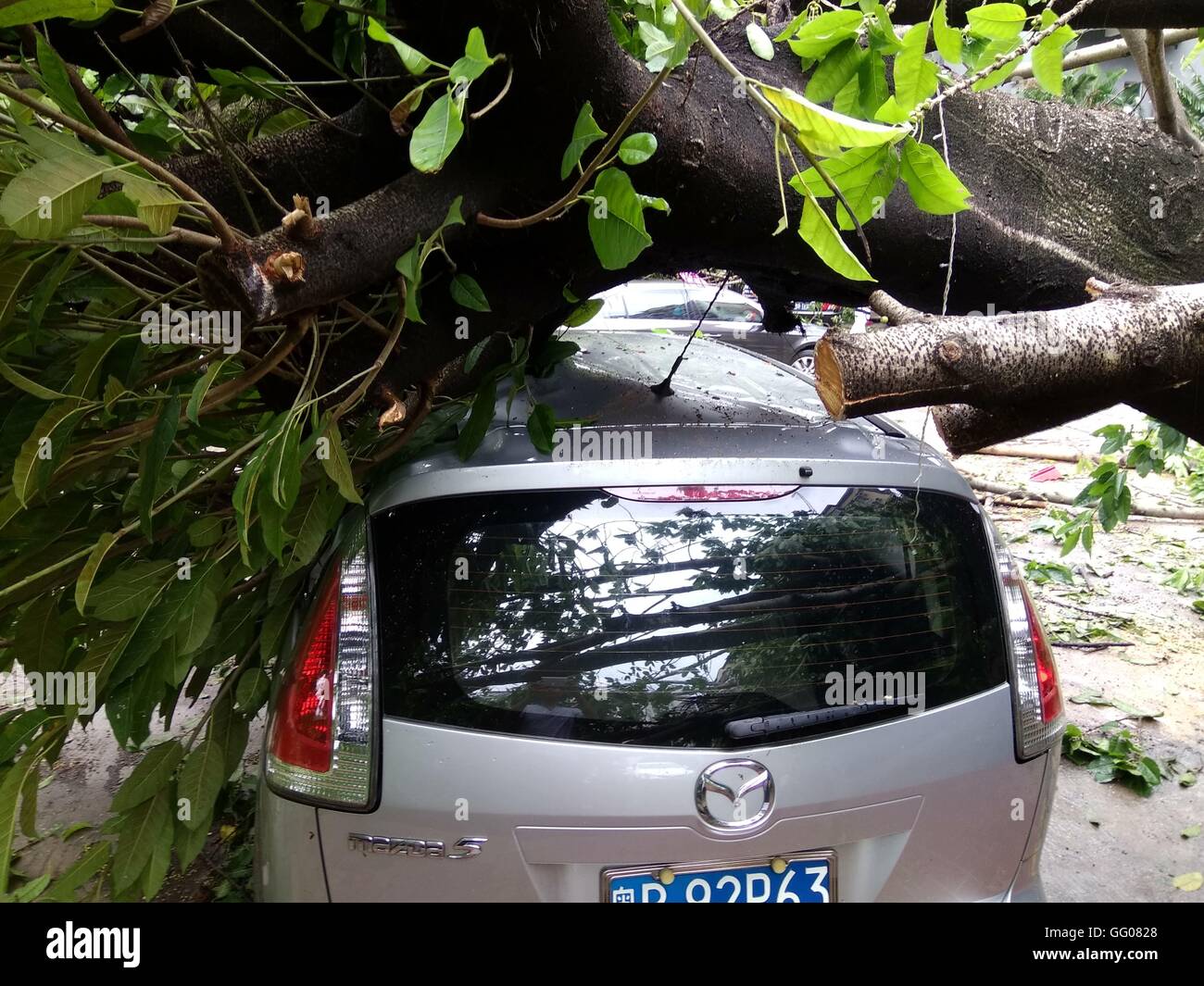 Shenzhen, Shenzhen, China. 2nd Aug, 2016. The 4th Typhoon ''Nida ...