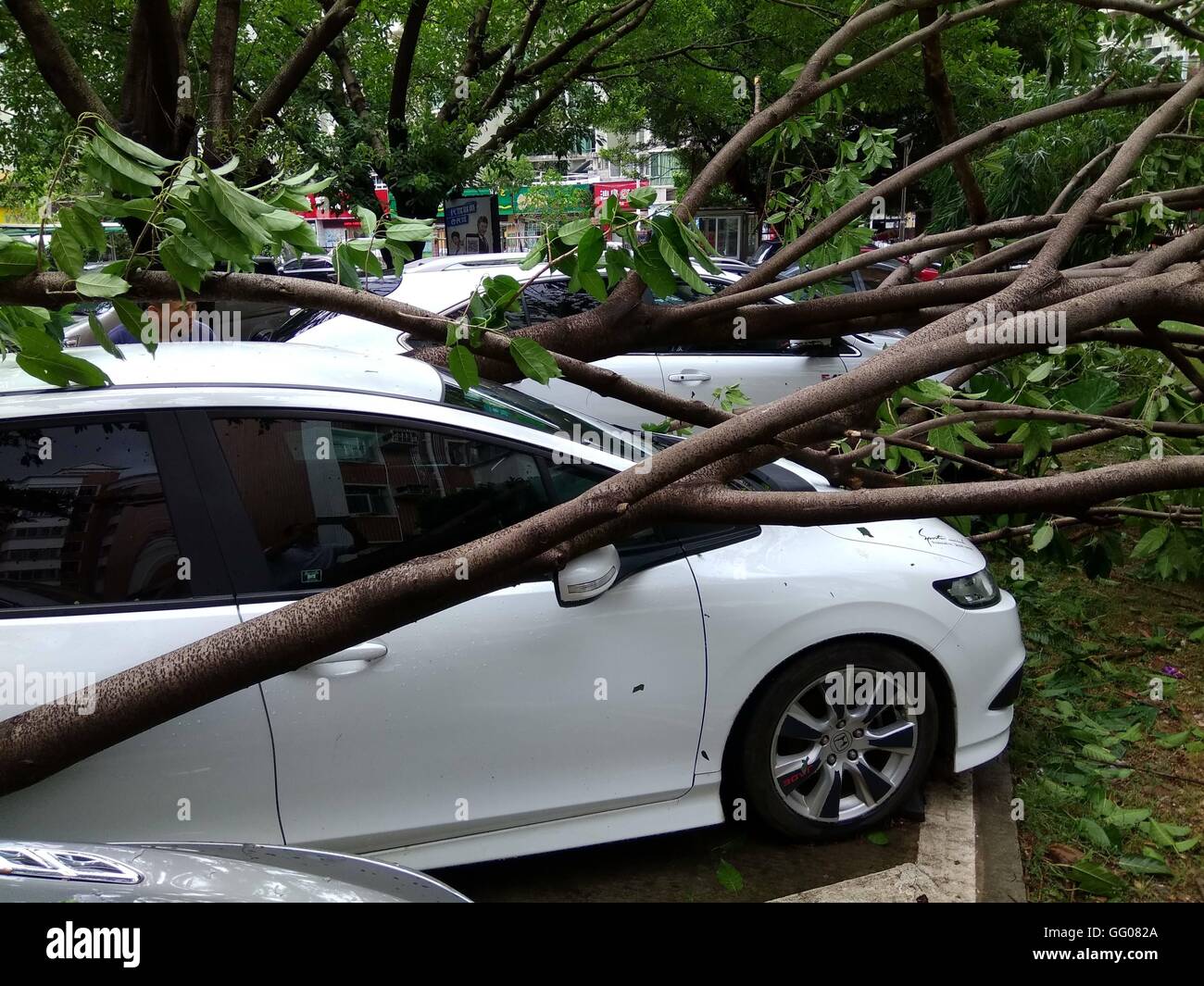 Shenzhen, Shenzhen, China. 2nd Aug, 2016. The 4th Typhoon ''Nida ...