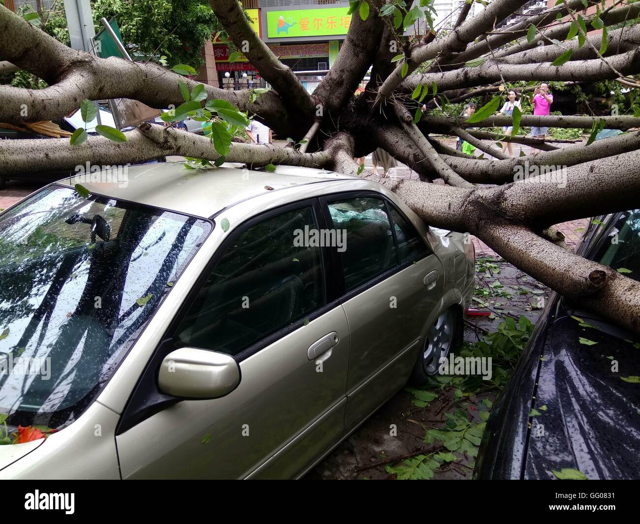 Shenzhen, Shenzhen, China. 2nd Aug, 2016. The 4th Typhoon ''Nida ...