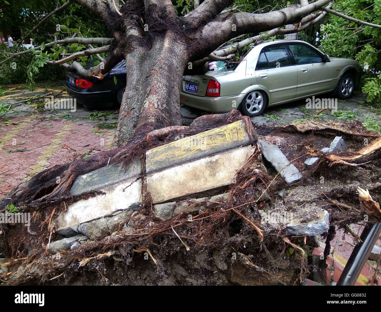Shenzhen, Shenzhen, China. 2nd Aug, 2016. The 4th Typhoon ''Nida ...