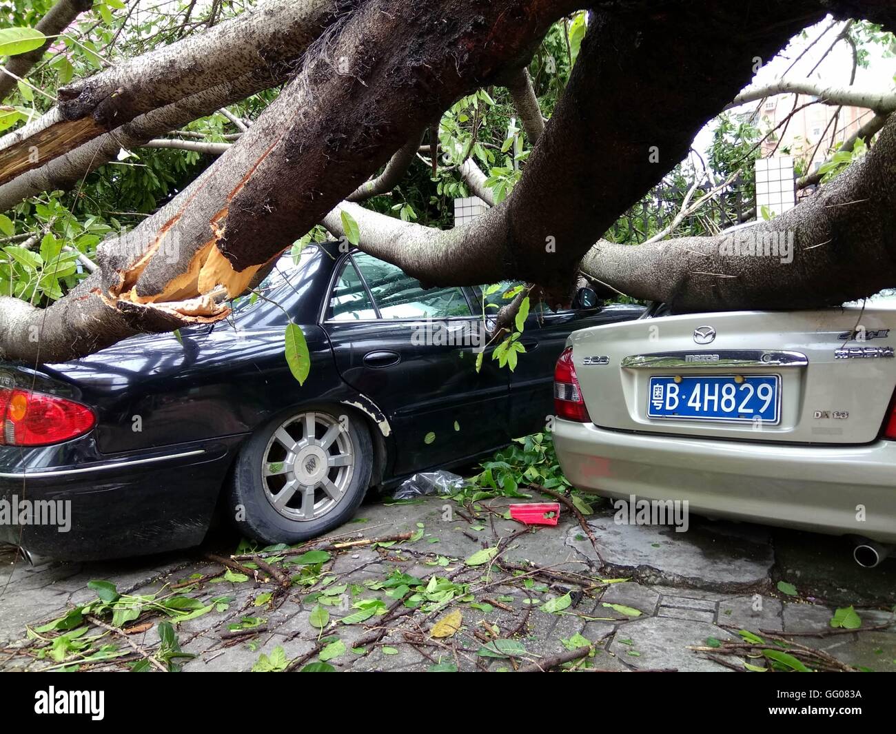 Shenzhen, Shenzhen, China. 2nd Aug, 2016. The 4th Typhoon ''Nida ...
