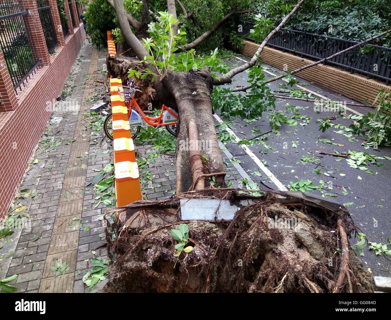 Shenzhen, Shenzhen, China. 2nd Aug, 2016. The 4th Typhoon ''Nida ...