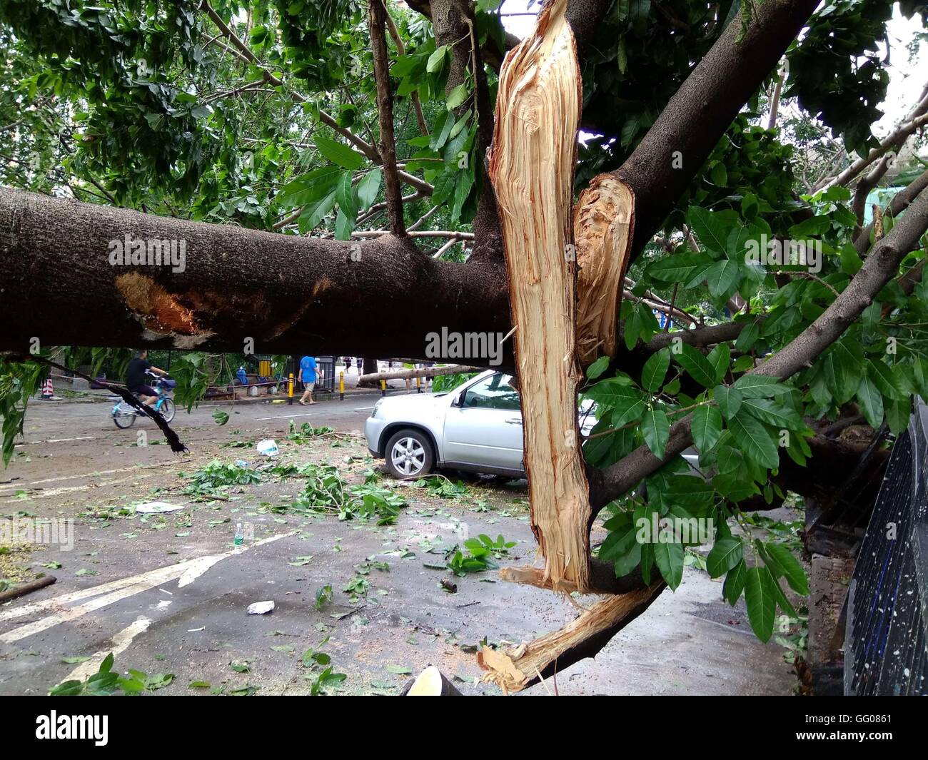 Shenzhen, Shenzhen, China. 2nd Aug, 2016. The 4th Typhoon ''Nida ...