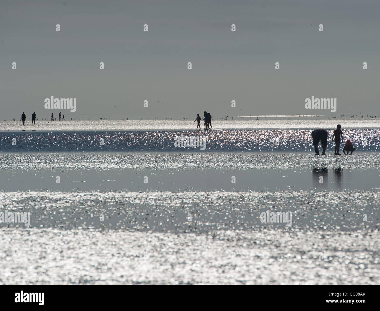 Pellworm, Germany. 02nd Aug, 2016. Tourists walk through the tidewater ...