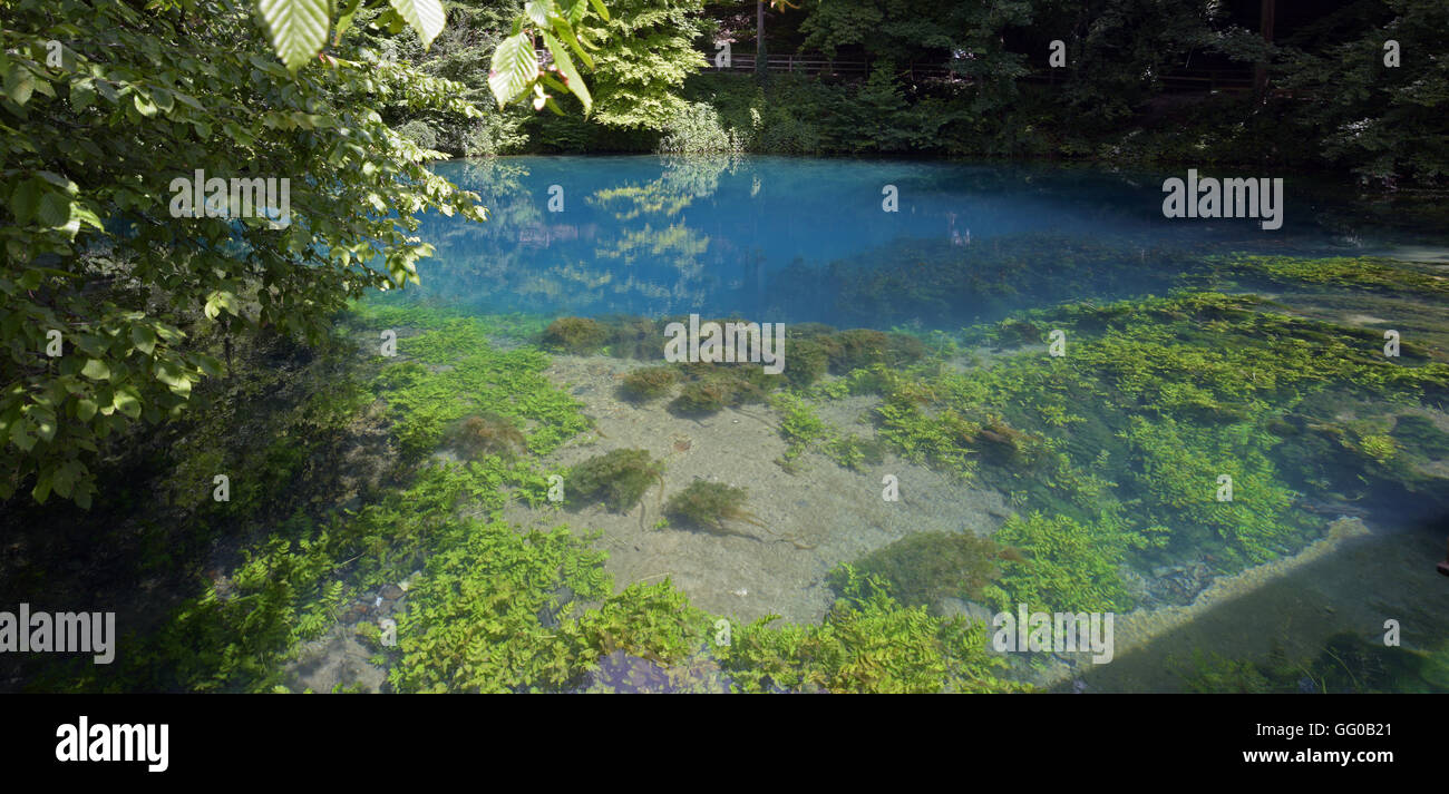 Blaubeuren, Germany. 29th July, 2016. The Blautopf ('Blue bucket') in ...
