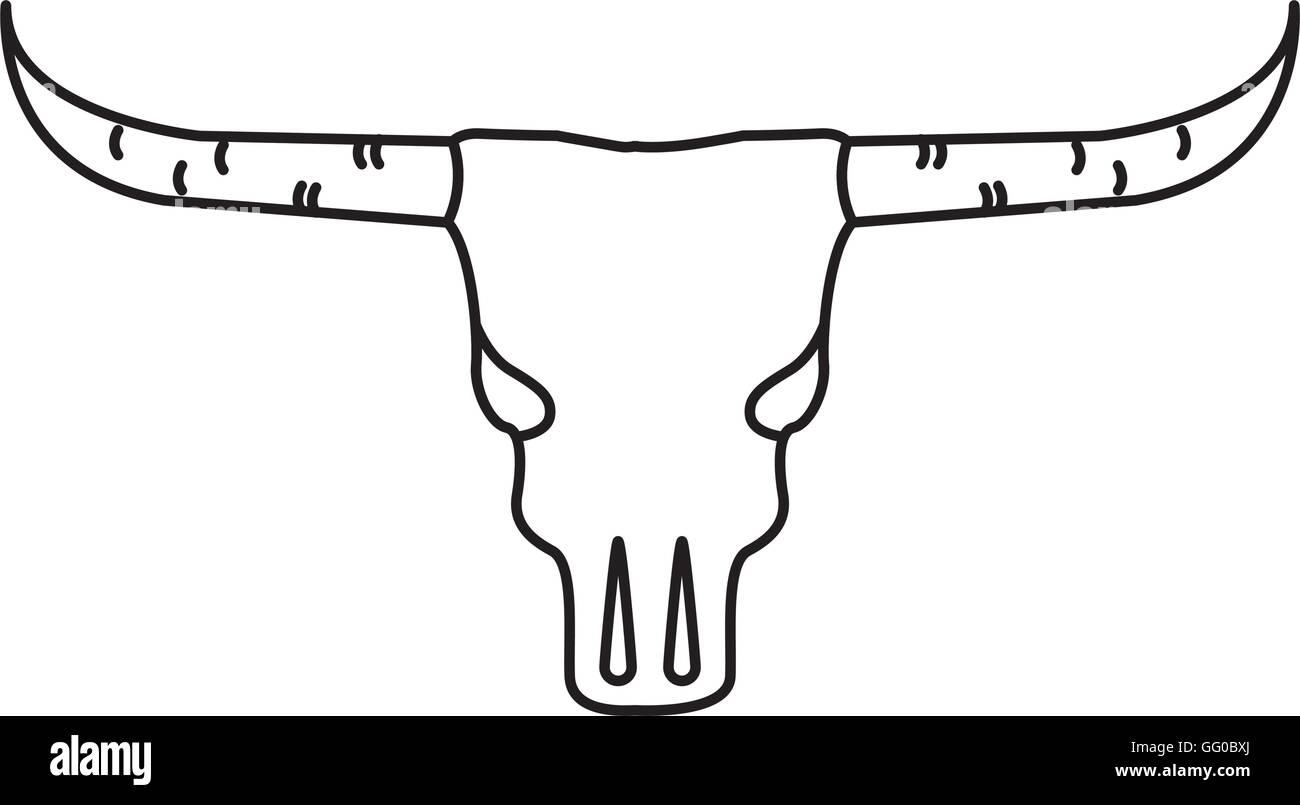 Cow texas Black and White Stock Photos & Images - Alamy