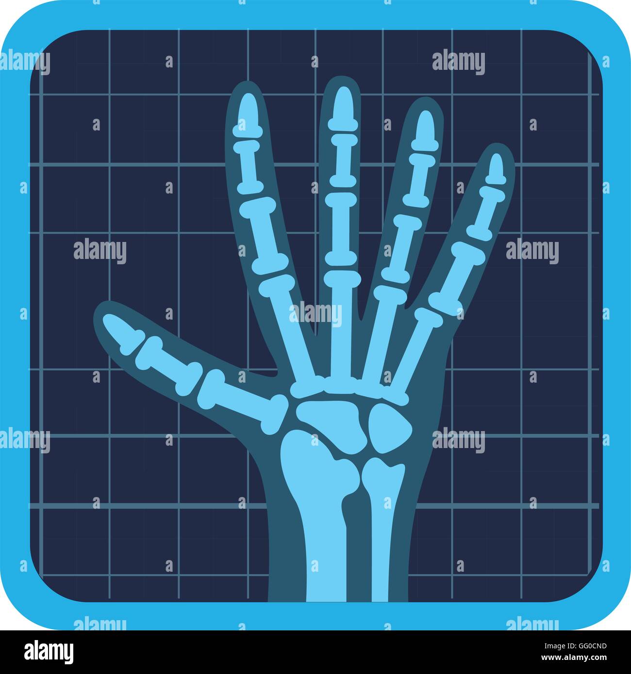 x rays test icon Stock Vector Image & Art - Alamy