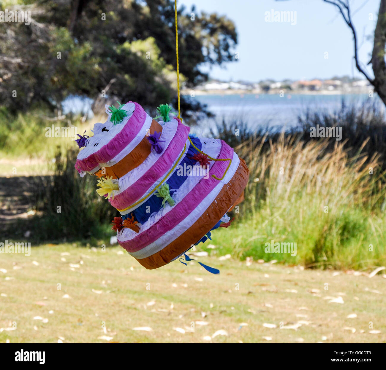 Cake shaped party pinata with bright striped colors hanging from tree ...