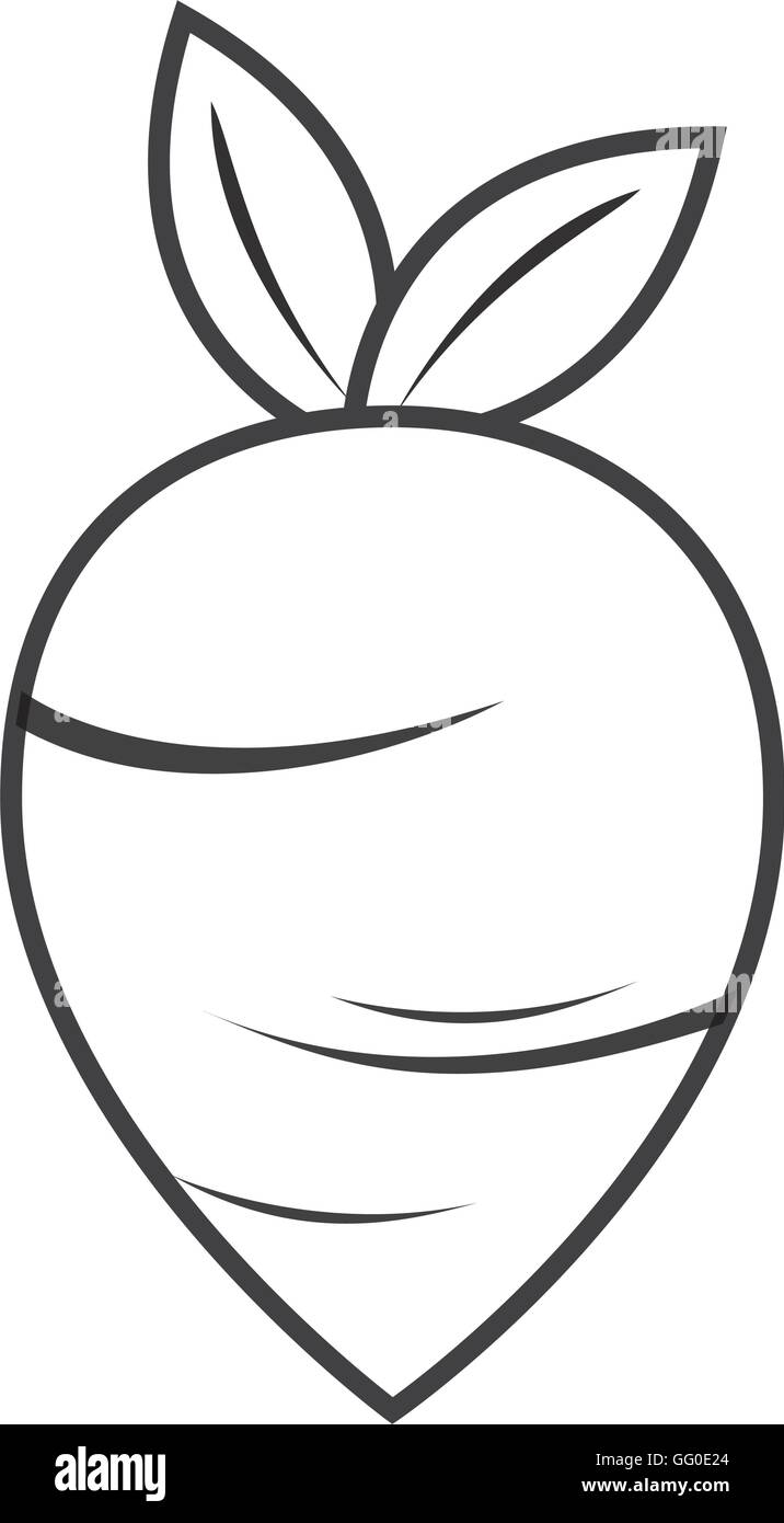 Single root organic red Black and White Stock Photos & Images - Alamy