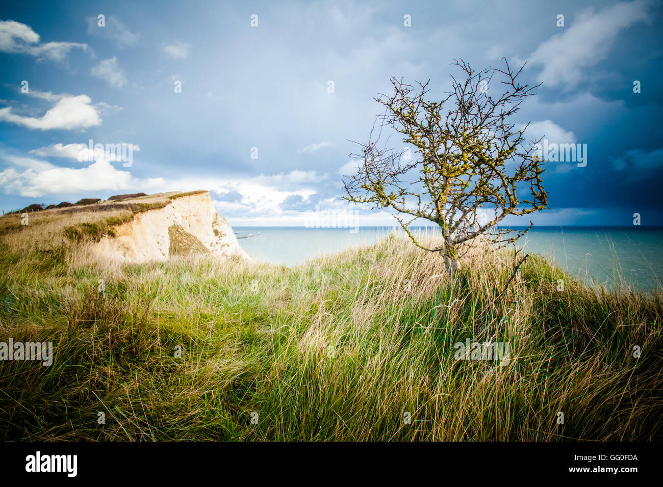 White cliffs of Dover landscape photo Stock Photo - Alamy