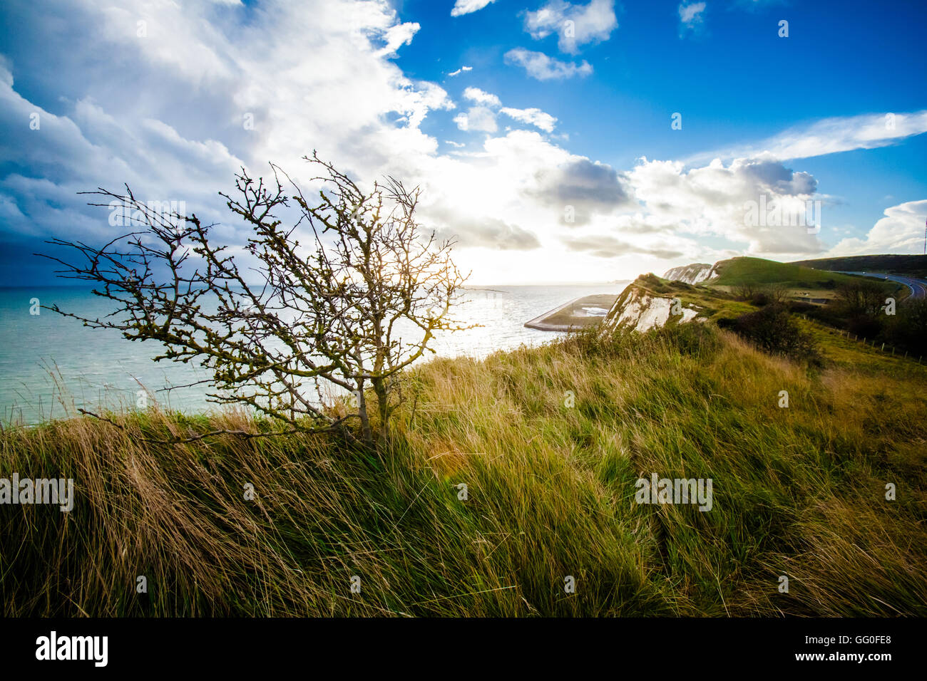 White cliffs of Dover landscape photo Stock Photo - Alamy