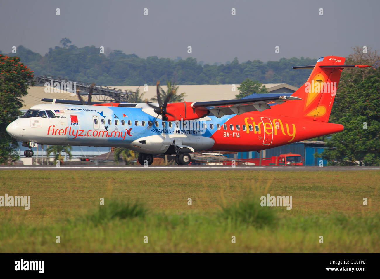 Fireflyz Air Stewardess