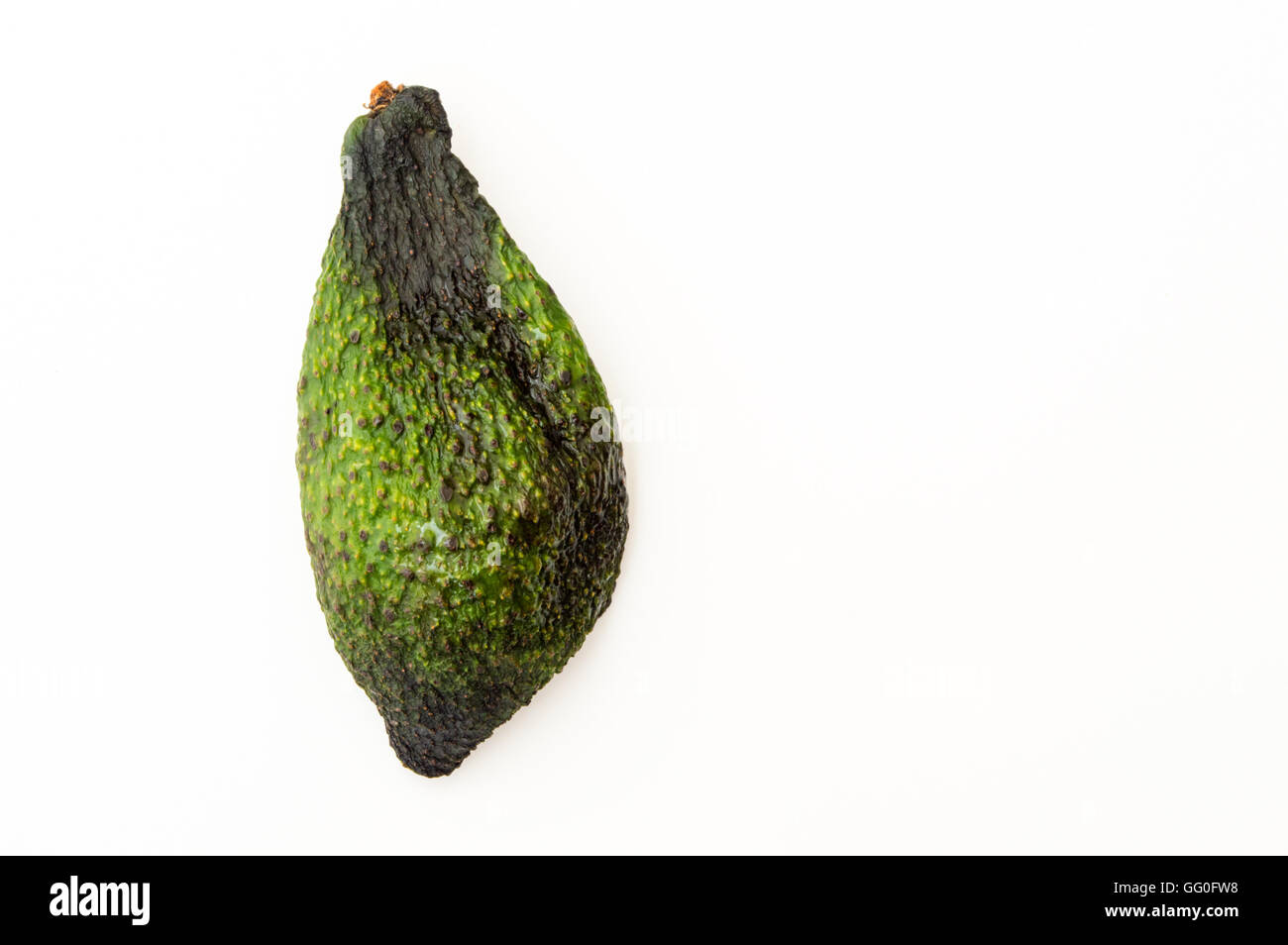 Dried Shell of Avocado on a White Background Stock Photo - Alamy