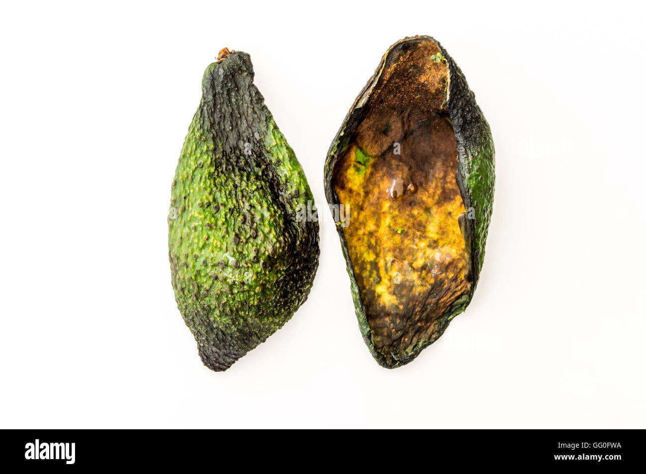 Dried Shell of Avocado on a White Background Stock Photo - Alamy
