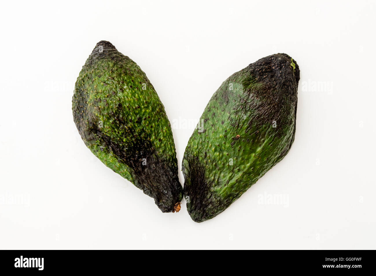 Dried Shell of Avocado on a White Background Stock Photo - Alamy