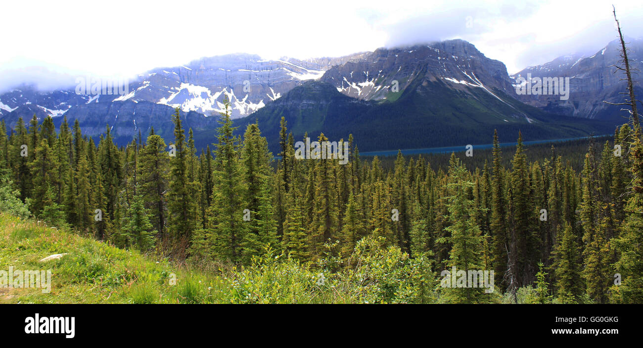 David thompson hi-res stock photography and images - Alamy