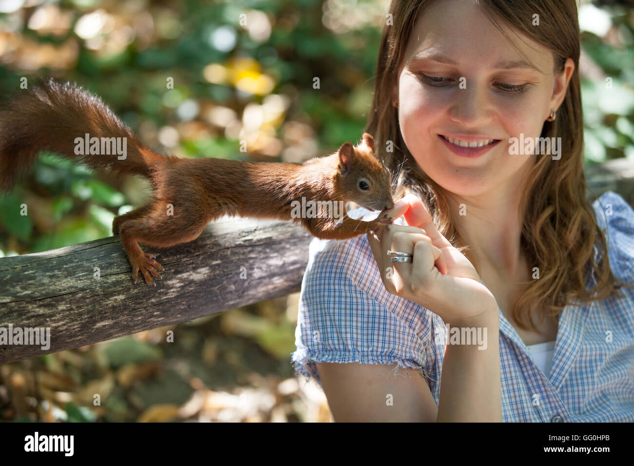 Squirrel in human environment hi-res stock photography and images - Alamy