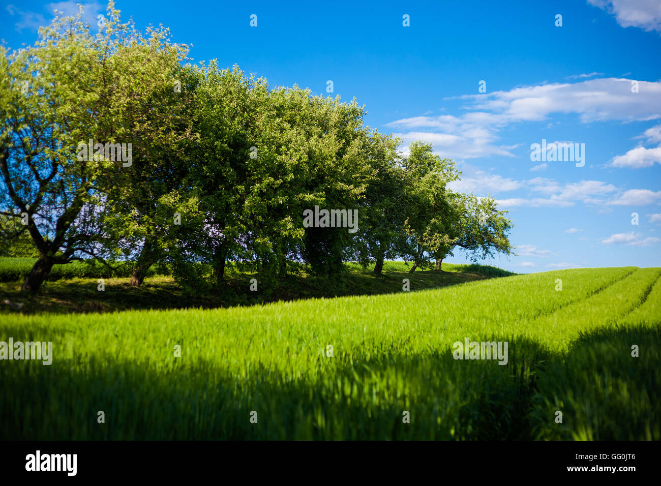 Rural lamdscape hi-res stock photography and images - Alamy