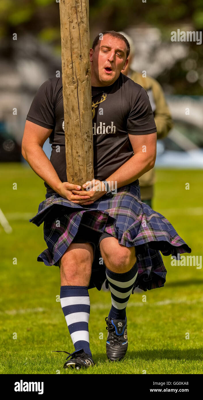 Highland games tossing the caber kilt hi-res stock photography and ...